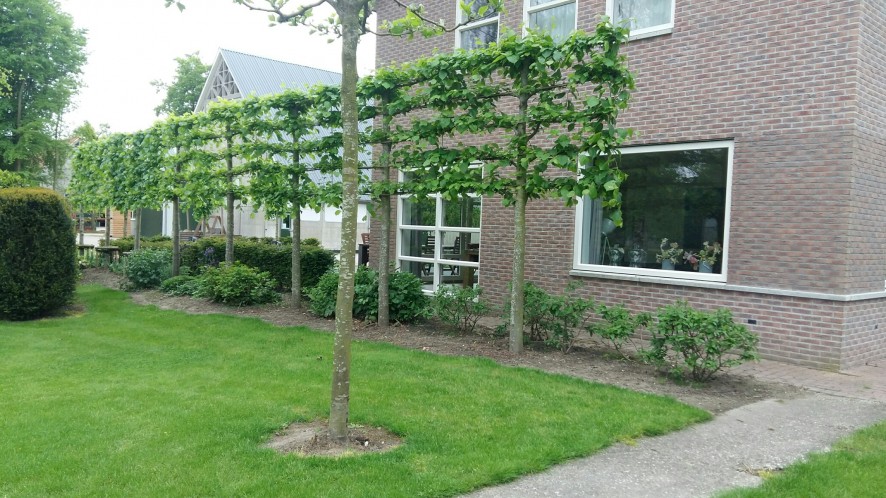 Inspiratie